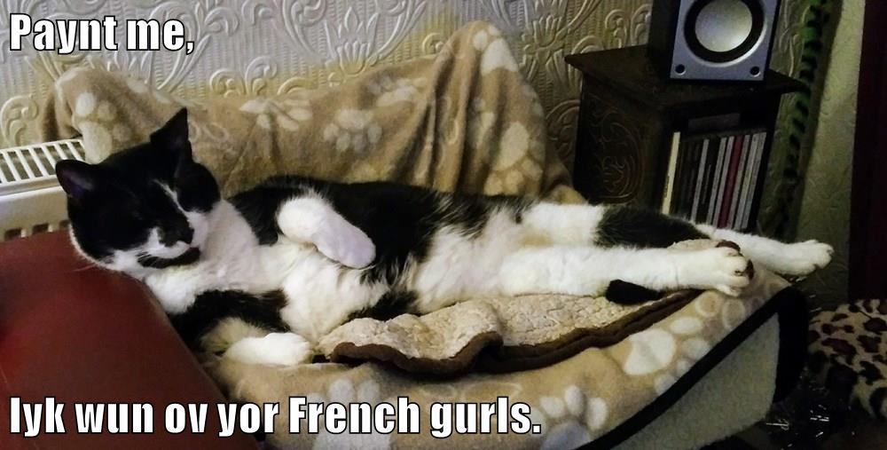 Paynt me, lyk wun ov yor French gurls. - Lolcats - lol | cat memes ...