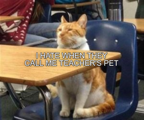 Teacher's pet - Lolcats - lol | cat memes | funny cats | funny cat ...