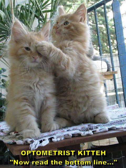 OPTOMETRIST KITTEH - Lolcats - lol | cat memes | funny cats | funny cat ...