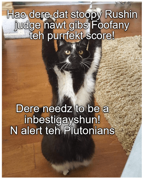 Winter Lolympics shenanigans - Lolcats - lol | cat memes | funny cats ...