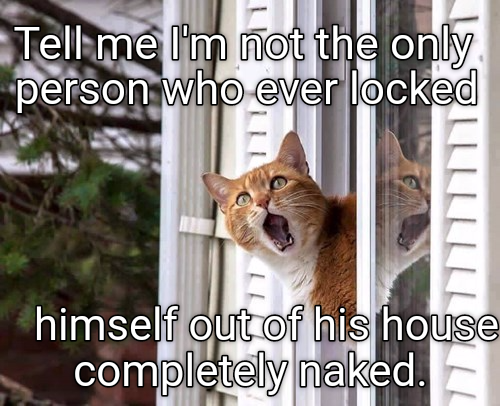 Please tell me I'm not alone in this. - Lolcats - lol | cat memes ...