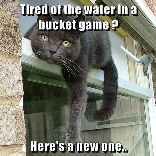 Tired of the water in a bucket game? - Lolcats - lol | cat memes ...