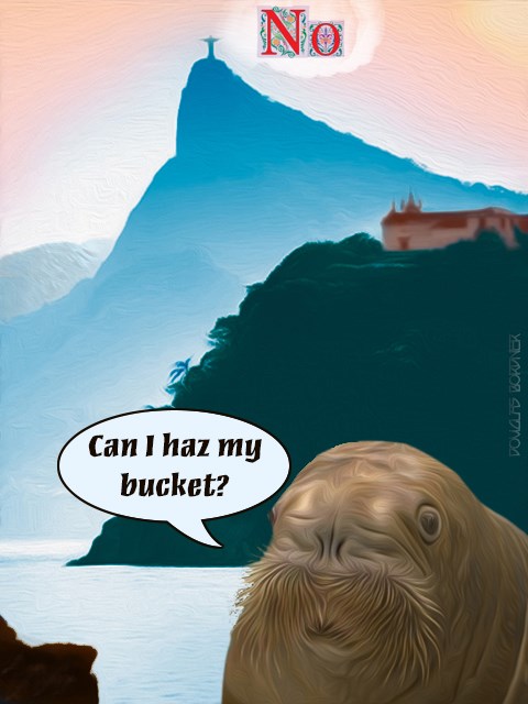 Suffer not the walrus to come unto me - Animal Comedy - Animal Comedy ...
