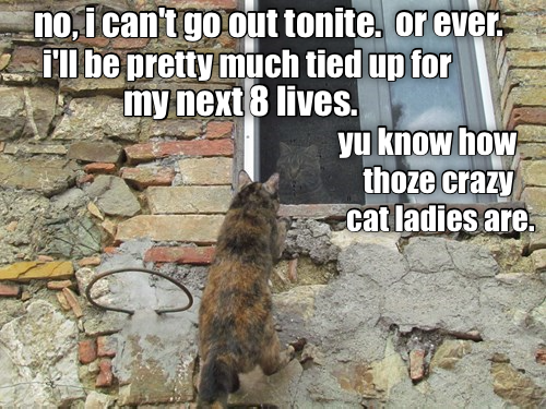 They love you forever and ever! - Lolcats - lol | cat memes | funny ...