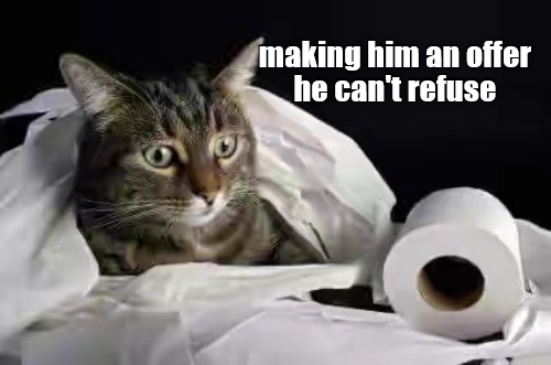 Making him an offer he can't refuse - Lolcats - lol | cat memes | funny ...
