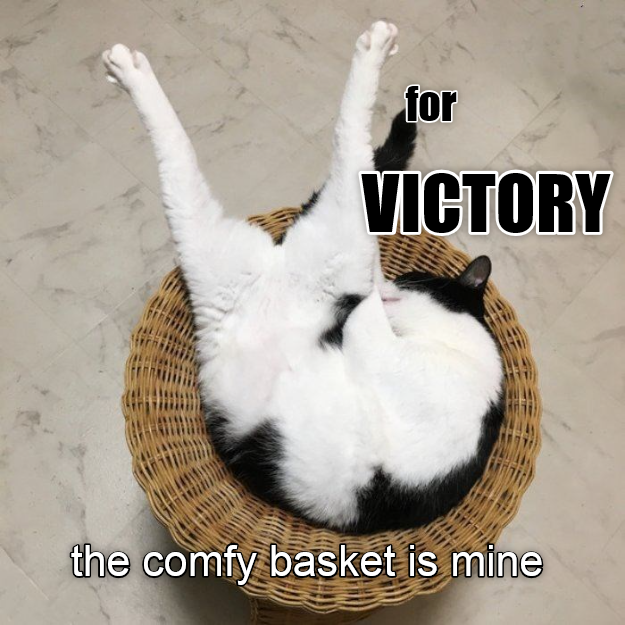 V for Victory - Lolcats - lol | cat memes | funny cats | funny cat ...