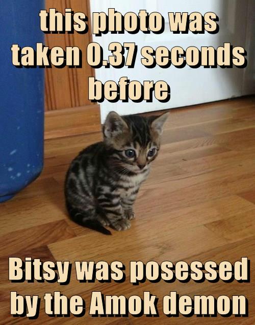 This photo was taken 0.37 seconds before Bitsy was posessed by the Amok ...