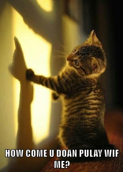 HOW COME U DOAN PULAY WIF ME? - Lolcats - lol | cat memes | funny cats ...