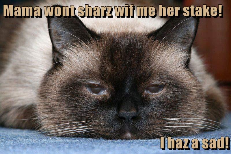 Mama wont sharz wif me her stake! I haz a sad! - Lolcats - lol | cat ...