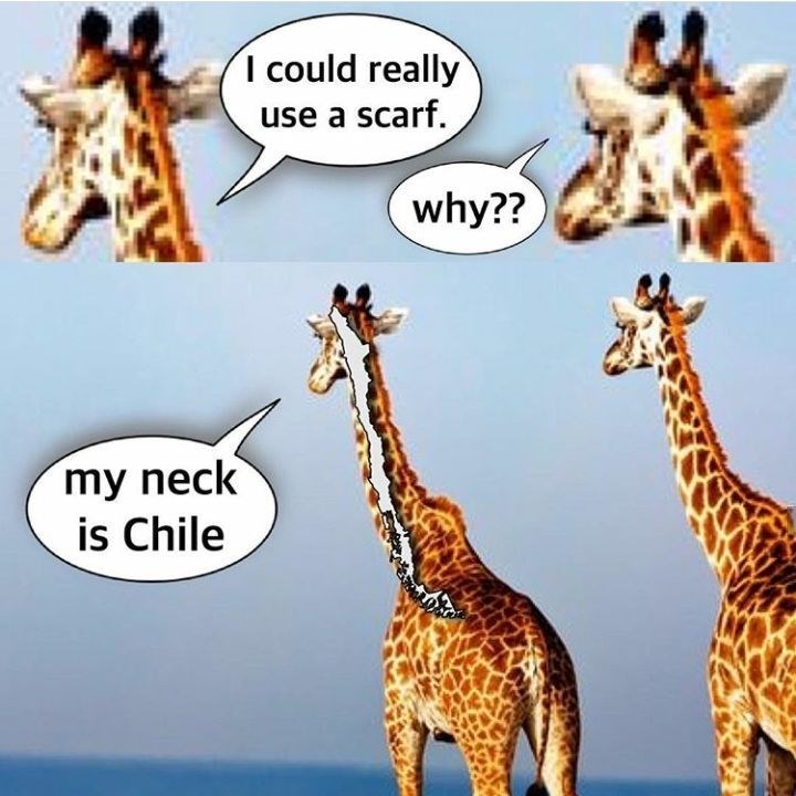 Memebase - giraffes - All Your Memes In Our Base - Funny Memes ...