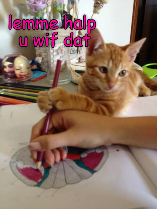 lemme halp u wif dat - Lolcats - lol | cat memes | funny cats | funny ...