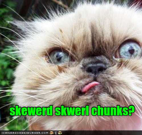 Skewerd skwerl chunks? - Lolcats - lol | cat memes | funny cats | funny ...