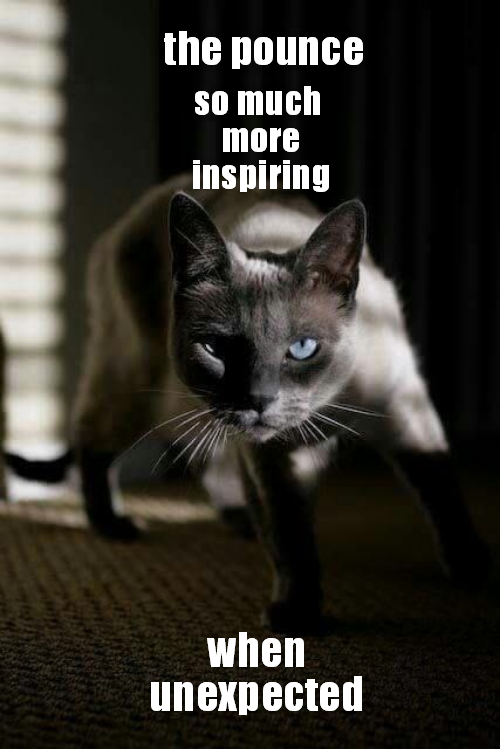 it'z a gift - Lolcats - lol | cat memes | funny cats | funny cat ...