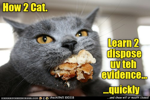 How 2 Cat. - Lolcats - lol | cat memes | funny cats | funny cat ...