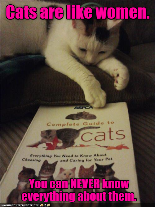 Everything? Yeah, Right! - Lolcats - lol | cat memes | funny cats ...