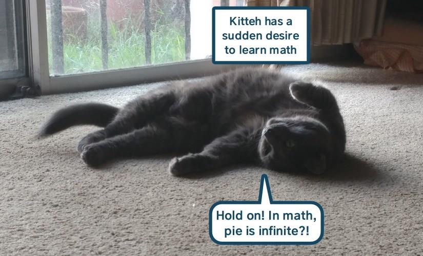 Kitteh has a sudden desire to learn math - Lolcats - lol | cat memes ...