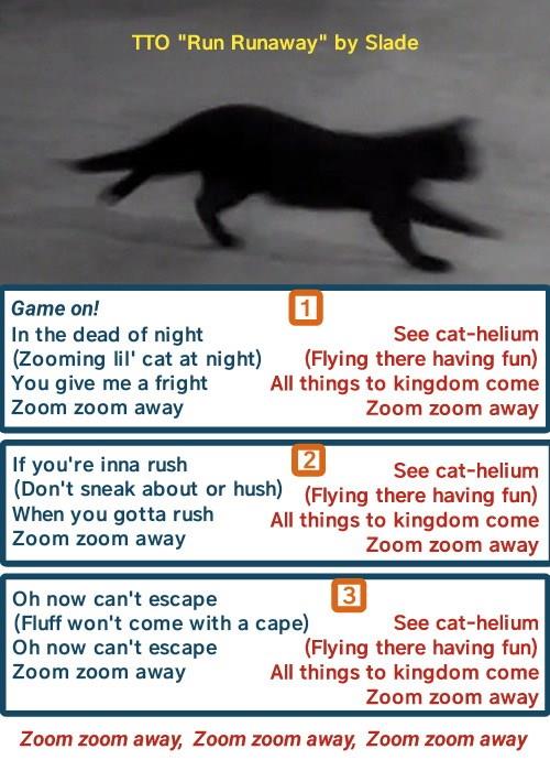 "The Zoomies" (TTO "Run Runaway" by Slade) - Lolcats - lol | cat memes ...