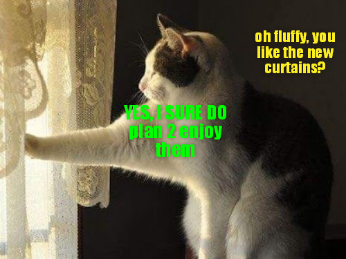 first cat - Lolcats - lol | cat memes | funny cats | funny cat pictures ...