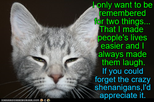 Remember the good things about me. - Lolcats - lol | cat memes | funny ...