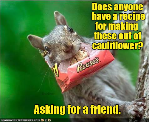 Cauliflower: The wonder vegetable - Animal Comedy - Animal Comedy ...