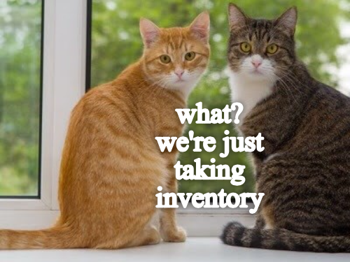 Wildlife audit - Lolcats - lol | cat memes | funny cats | funny cat ...