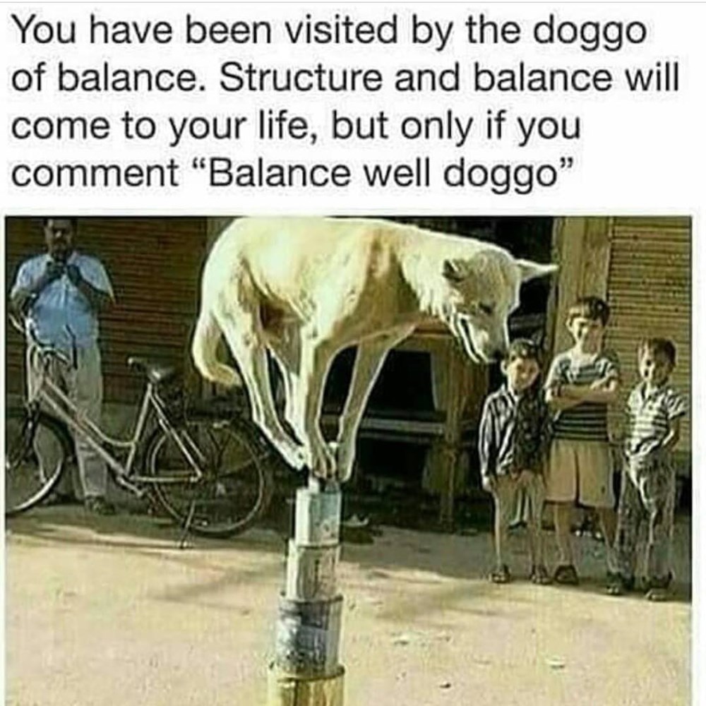 Balance Well Doggo - Memebase - Funny Memes