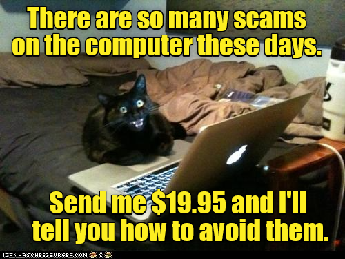 Sounds Legit - Lolcats - lol | cat memes | funny cats | funny cat ...