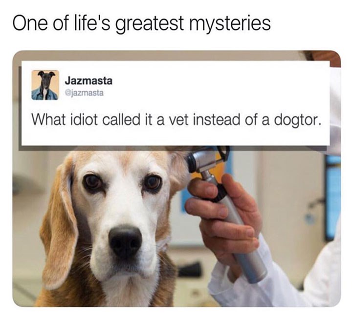 Good Question - I Can Has Cheezburger?