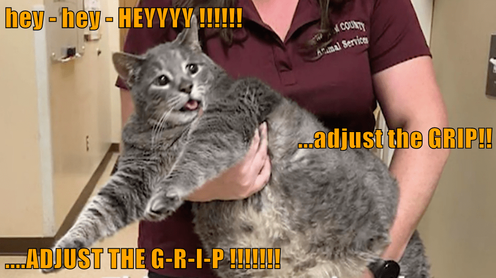 ADJUST THE G-R-I-P !!!!!!! - Lolcats - lol | cat memes | funny cats ...