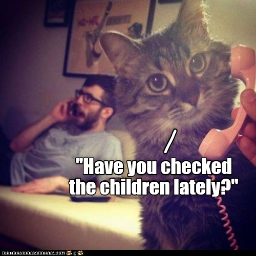 When a Stranger Calls - Lolcats - lol | cat memes | funny cats | funny ...