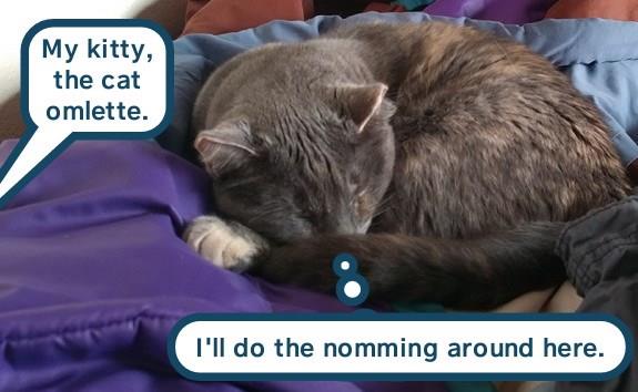 On second thought, you'd better go eat - Lolcats - lol | cat memes ...