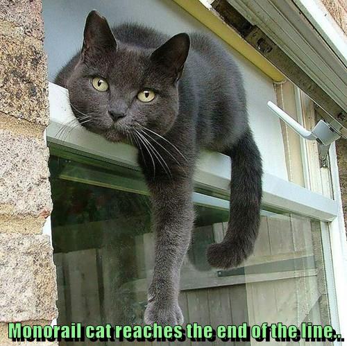 Monorail cat reaches the end of the line.. - Lolcats - lol | cat memes ...