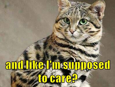 And like I'm supposed to care? - Lolcats - lol | cat memes | funny cats ...