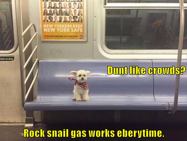 Dunt like crowds? Rock snail gas works eberytime. - I Has A Hotdog ...