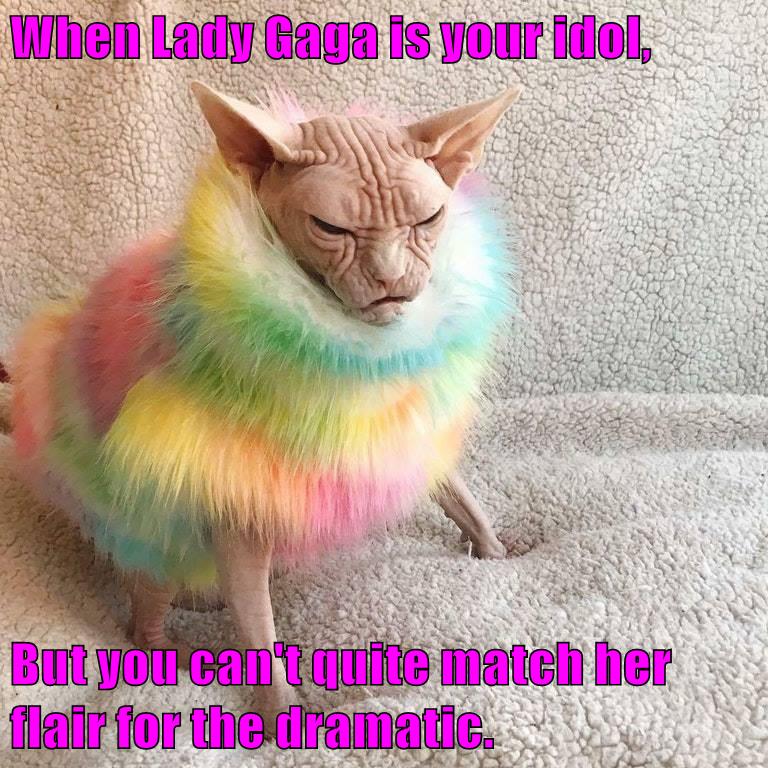 When Lady Gaga is your idol, But you can't quite match her flair for ...