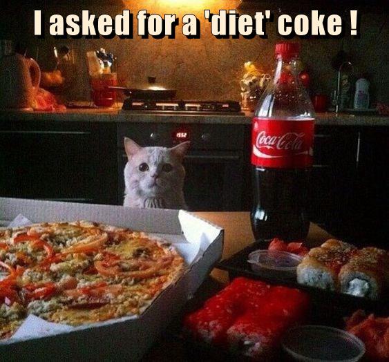 I asked for a 'diet' coke ! - Lolcats - lol | cat memes | funny cats ...