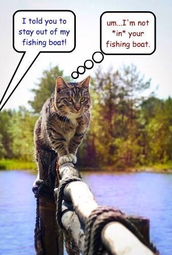 Pawsible deniability - Lolcats - lol | cat memes | funny cats | funny ...