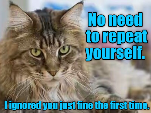 It's a gift I have. - Lolcats - lol | cat memes | funny cats | funny ...