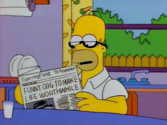 Cheezburger - simpsons memes - Page 4 - I Can Has Cheezburger ...