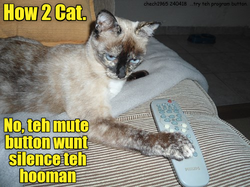 How 2 Cat. - Lolcats - lol | cat memes | funny cats | funny cat ...