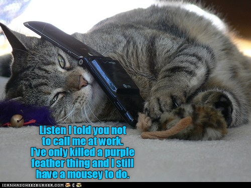 yes dear . . . yes dear . . . yes dear . . . - Lolcats - lol | cat ...