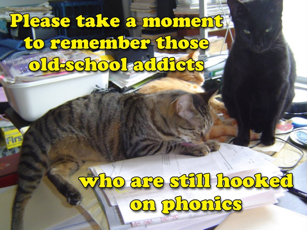 A moment of silence, please - Lolcats - lol | cat memes | funny cats ...