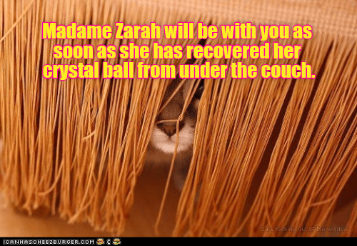 The Grand Madame Zarah - Lolcats - lol | cat memes | funny cats | funny ...