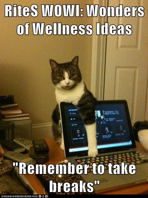 "Remember to take breaks" - Lolcats - lol | cat memes | funny cats ...