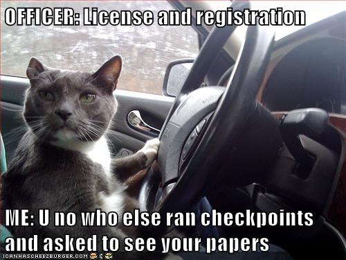 OFFICER: License and registration - Lolcats - lol | cat memes | funny ...