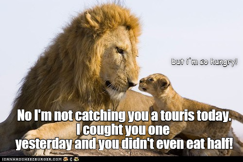 But I'm so hungry! - Animal Comedy - Animal Comedy, funny animals ...