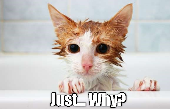 Your bafftime baffles me... - Lolcats - lol | cat memes | funny cats ...