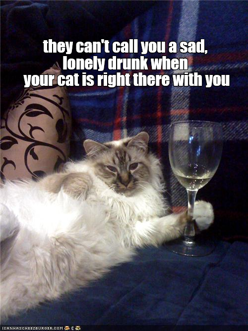 Not sad or lonely! - Lolcats - lol | cat memes | funny cats | funny cat ...