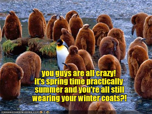 Must be sweaty - Animal Comedy - Animal Comedy, funny animals, animal gifs