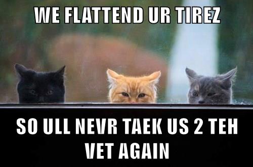 WE FLATTEND UR TIREZ SO ULL NEVR TAEK US 2 TEH VET AGAIN - Lolcats ...